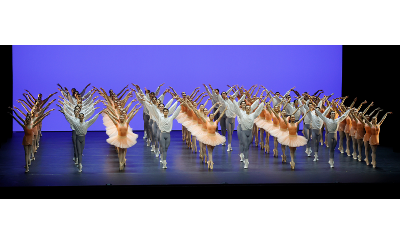 taZ – Curtain Up! in Winterthur | Theater & Bühne