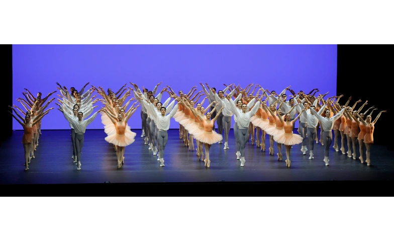 taZ – Curtain Up! à Winterthur | Théâtre & Scène