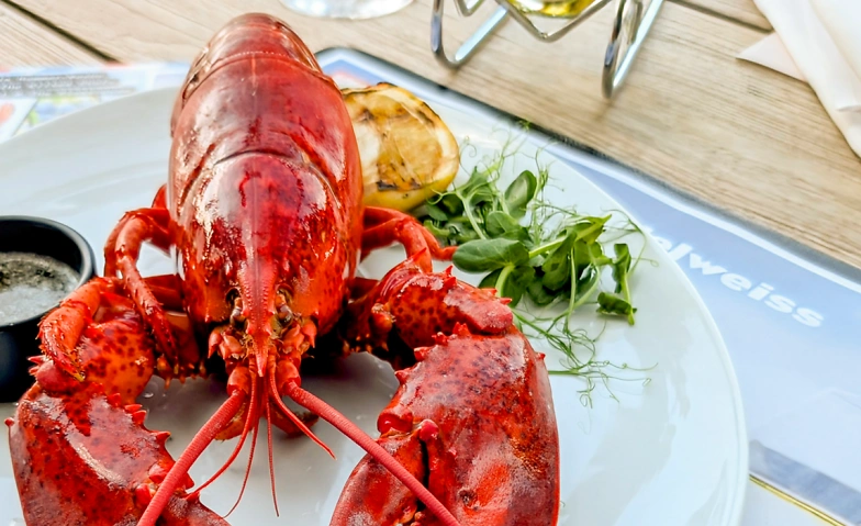 Nova Scotia Hummer-Woche mit «The Kilted Chef» in Lachen SZ | Essen ...