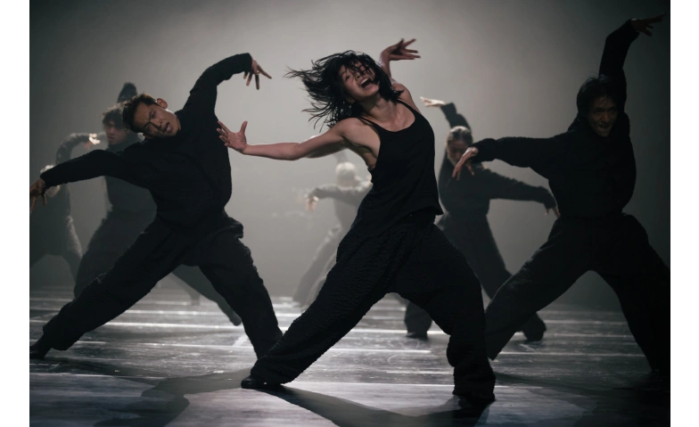 Xiexin Dance Theatre in Winterthur | Theater & Bühne